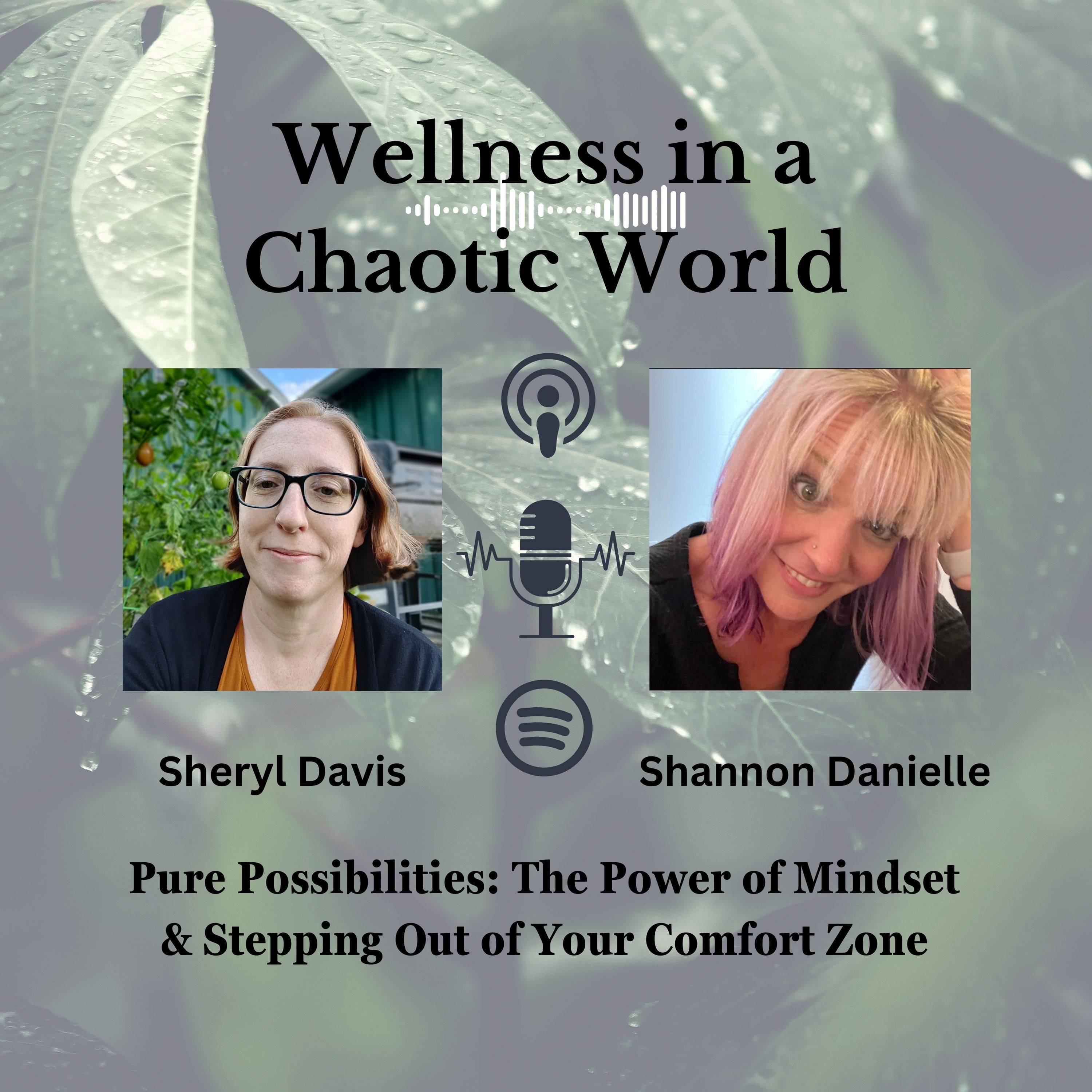 Pure Possibilities: The Power of Mindset & Stepping Out of Your Comfort Zone | Wellness in a ...